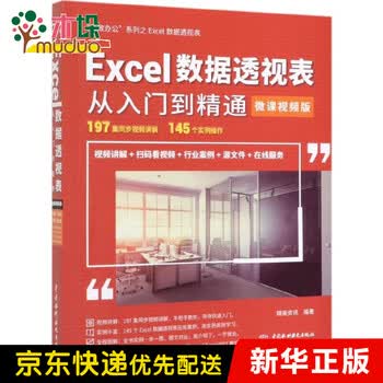 Excel数据透视表从入门到精通(微课视频版)