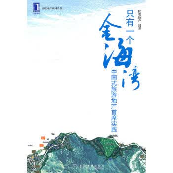 只有一个金海湾 世联地产著 9787111331117 机械工业出版社