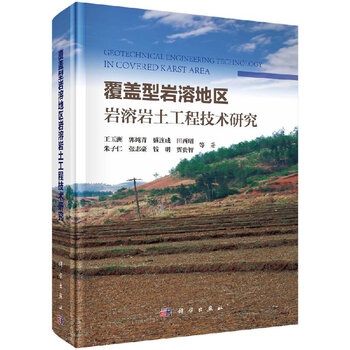 覆盖型岩溶地区岩溶岩土工程技术研究