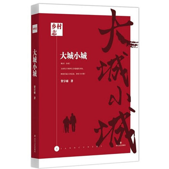 乡村志·大城小城9787541154539