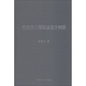 注册会计师职业化十四讲 陈毓圭  书籍