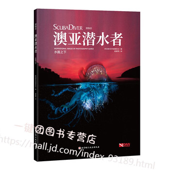 澳亚潜水者 水面上下 水下摄影书籍 如何拍摄身临其境的半水面照片 半水面照片用光技巧 水面摄影大师作