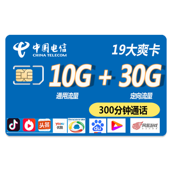 中国电信（CHINA TELECOM） 电信流量卡4g手机卡电话卡全国通用大王卡不限速上网卡流量卡 电信大爽卡19包10G通用+30G定向【图片 价格 品牌 报价】-京东