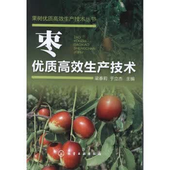 枣优质高效生产技术