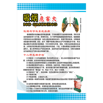 禁烟公益广告文化宣传画挂图标语海报禁止吸烟您已进入无烟场所控烟招贴画覆膜防水贴纸TYH TYH06  吸烟危害大 80*60厘米 覆膜防水PP贴纸