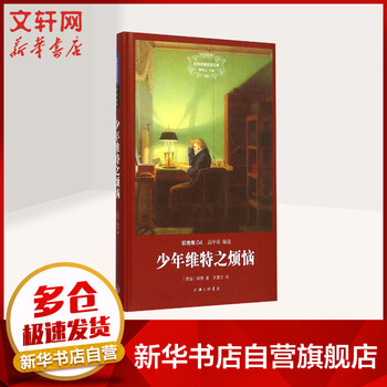 少年维特之烦恼