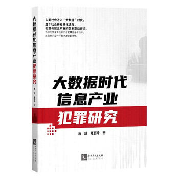 大数据时代信息产业犯罪研究 蒋琼 陈丽玲