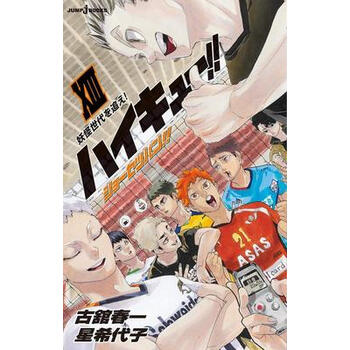 j-BOOKS 排球少年 13 ハイキュー!! ショーセツバン!! 13 文库小说 古舘春一 集