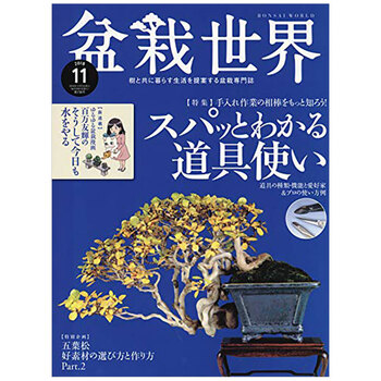 【包邮】订阅盆栽世界 盆栽景观杂志 日本日文 年订12期E360原版