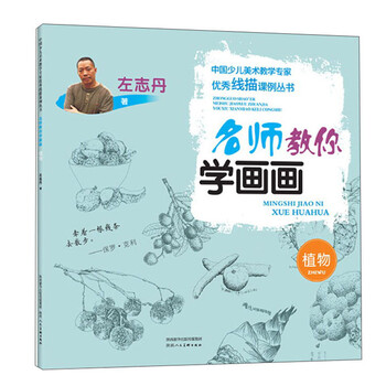 名师教你学画画：植物/中国少儿美术教学专家优秀线描课例丛书