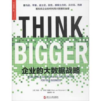 企业的大数据战略 书籍