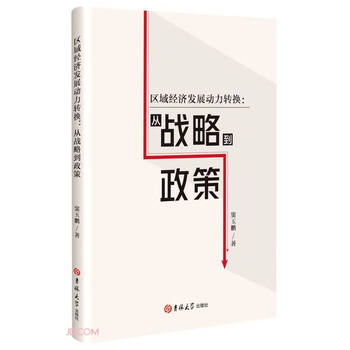 区域经济发展动力转换——从战略到政策