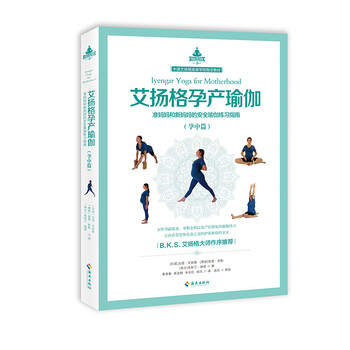 艾扬格孕产瑜伽孕中篇 书籍