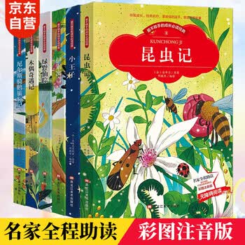 全6册 儿童文学经典名著套装注音版 昆虫记+小王子+伊索寓言+绿野仙踪+木偶奇遇记+尼尔斯骑鹅旅行记