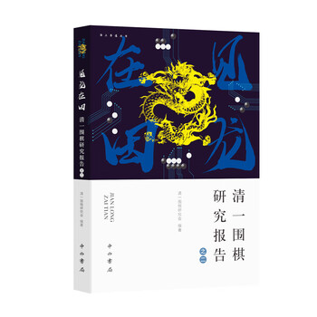 见龙在田：清一围棋研究报告之二