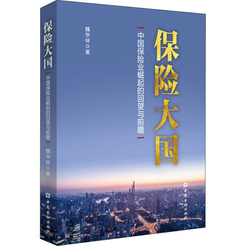 保险大国 魏华林  书籍