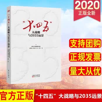 “十四五”大战略与2035远景 东方出版社