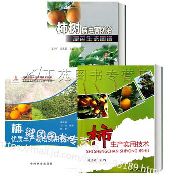 柿子树栽培种植书籍全3册 柿优质丰产栽培实用技术+柿生产实用技术+病虫害防治原色生态图谱 柿园建立土