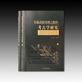 青藏高原丝绸之路的考古学研究（全二册）  仝涛【平】