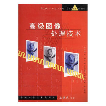 图像处理技术 王新成 心理学 9787504629425