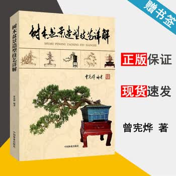 树木盆景造型技艺详解 曾宪烨 中国林业出版社 盆景 生物/农林 9787503891663