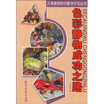 色彩静物成功之路 王宝响 书籍