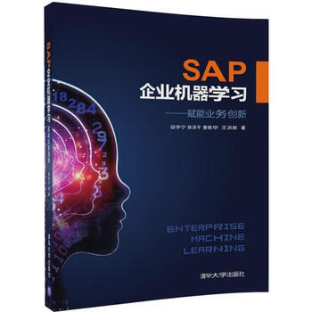 SAP企业机器学习 邬学宁 等  书籍