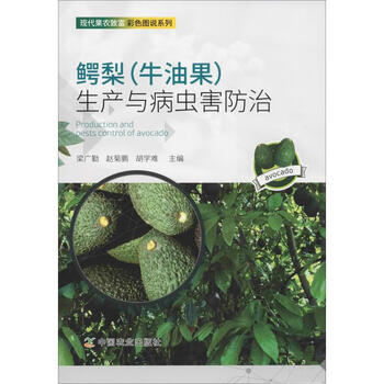 鳄梨(牛油果)生产与病虫害防治 梁广勤 赵菊鹏 胡学难  梁广勤,赵菊鹏,胡学难 编 书籍