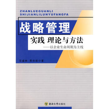 战略管理:实践理论与方法