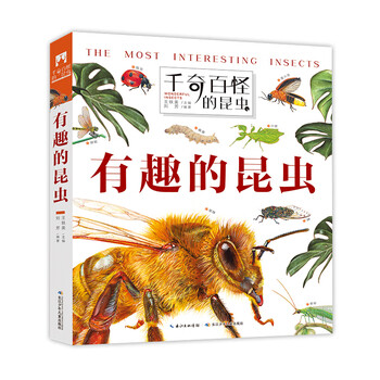 正版有趣的昆虫杂志期刊科普