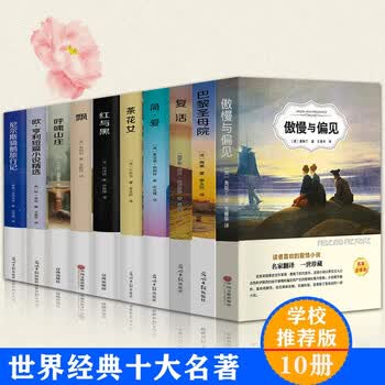 世界十大名著全10册 傲慢与偏见 尼尔斯骑鹅旅行记复活呼啸山庄/飘/红与黑茶花女/简爱巴黎圣母院