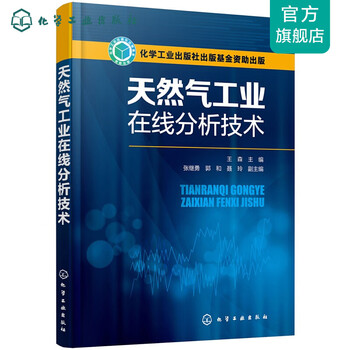 天然气工业在线分析技术