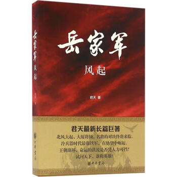 岳家军 君天  书籍