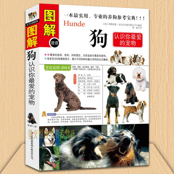 正版 图解狗(认识你*爱的宠物) 彩色图解 狗的品种 狗的饲养 狗病用药 犬病防治 家庭选狗 养