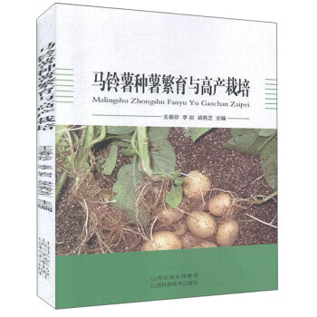 马铃薯种薯繁育与高产栽培