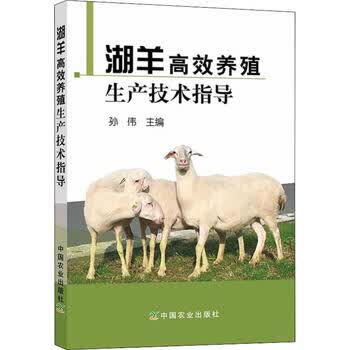湖羊高效养殖生产技术指导 孙伟 编 书籍