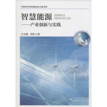 智慧能源 王忠敏 作 书籍