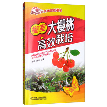 棚室大樱桃高效栽培