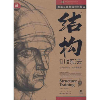 素描石膏像结构训练法结构训练法