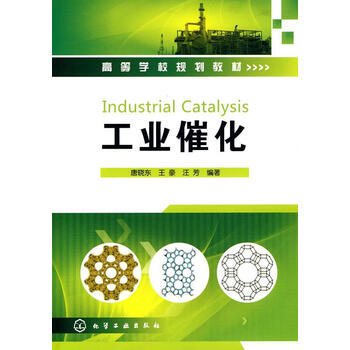 工业催化 9787122078452 唐晓东 化学工业出版社
