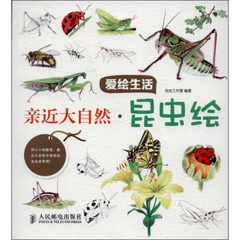 亲近大自然.昆虫绘  虫虫工作室   作 书籍