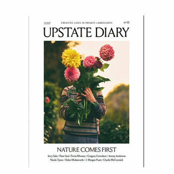 售空杰里·萨尔茨Jerry Saltz UPSTATE DIARY 2020年01期 N0.10杂志