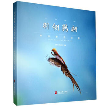 羽翎鹮翩  摄影 9787576100112