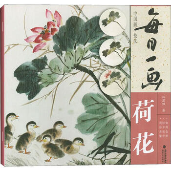 每日一画 荷花 江慧恒  书籍