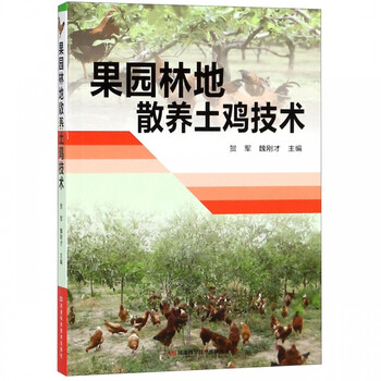 果园林地散养土鸡技术