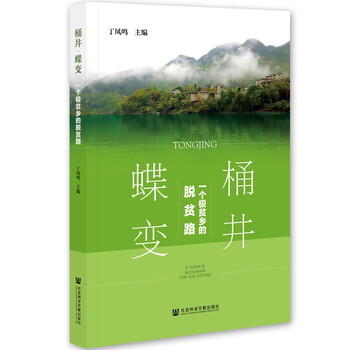 桶井蝶变：一个极贫乡的脱贫路