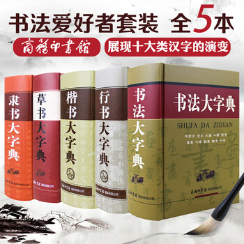 全5册中国书法大字典行书大字典楷书草书隶书大字典王羲之书法全集甲骨文金文大篆小篆毛笔字帖练字工具书