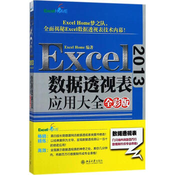Excel2013数据透视表应用大全(全彩版)