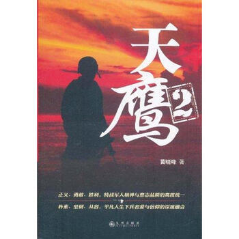 天鹰2 黄晓峰  书籍