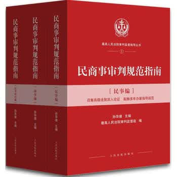 民商事审判规范指南